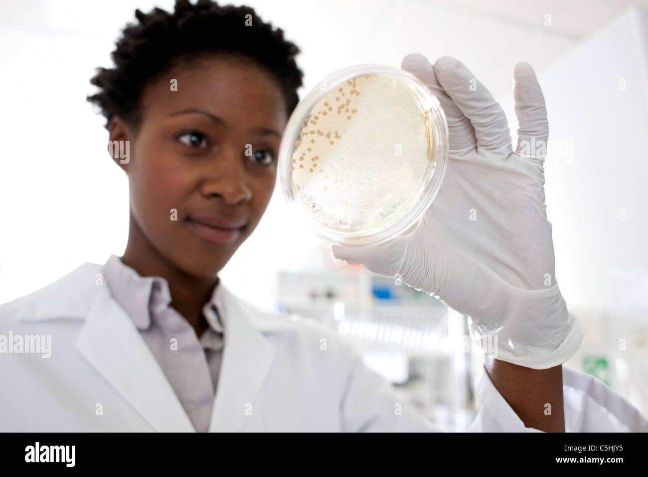 Cellular microbiology hi-res stock photography and images - Alamy