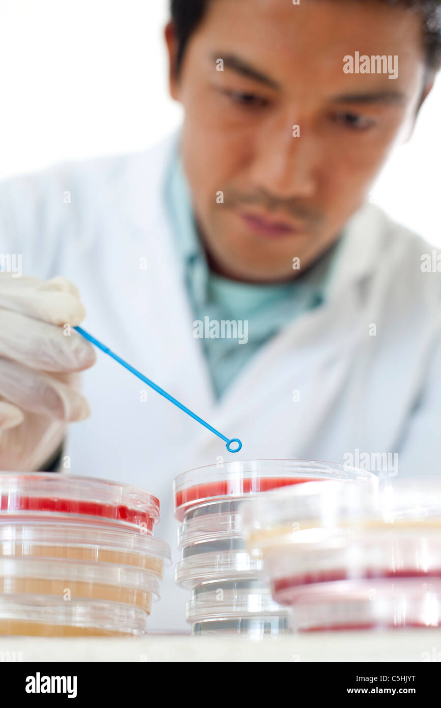 Cellular microbiology hi-res stock photography and images - Alamy