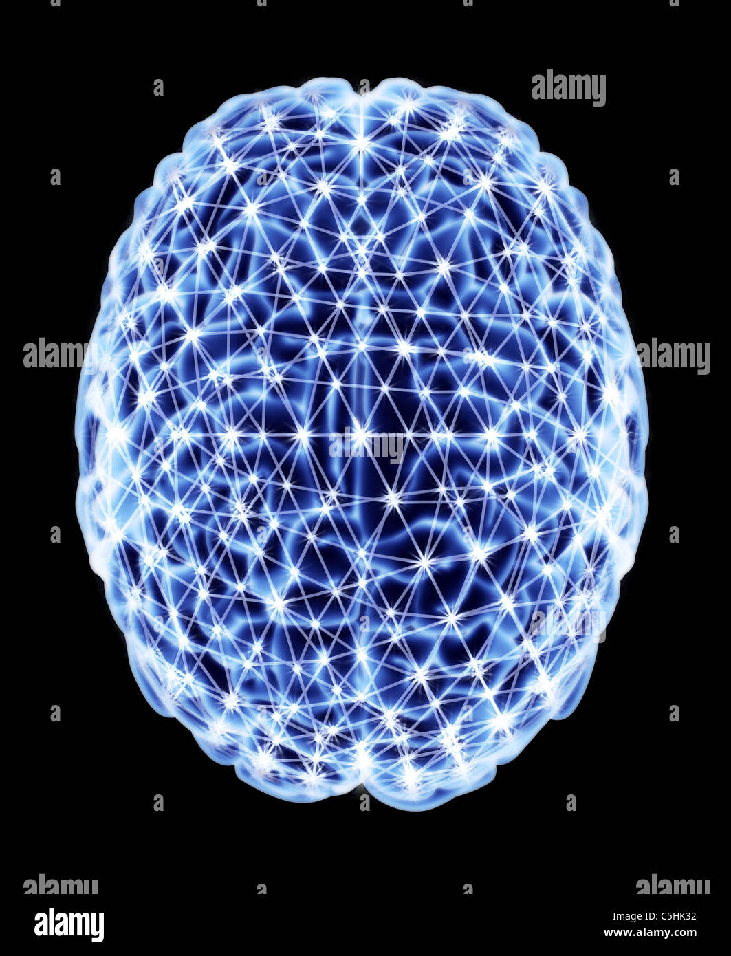 Brain, neural network Stock Photo - Alamy Brain, neural network Stock Photo - Alamy