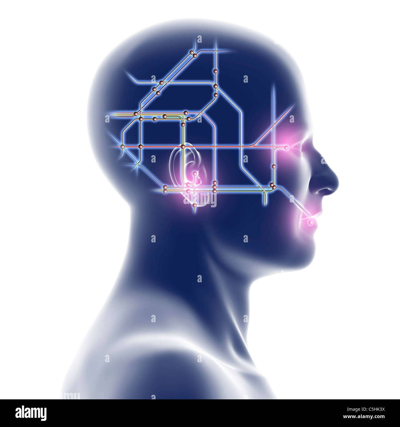Neural network diagram hi-res stock photography and images - Alamy