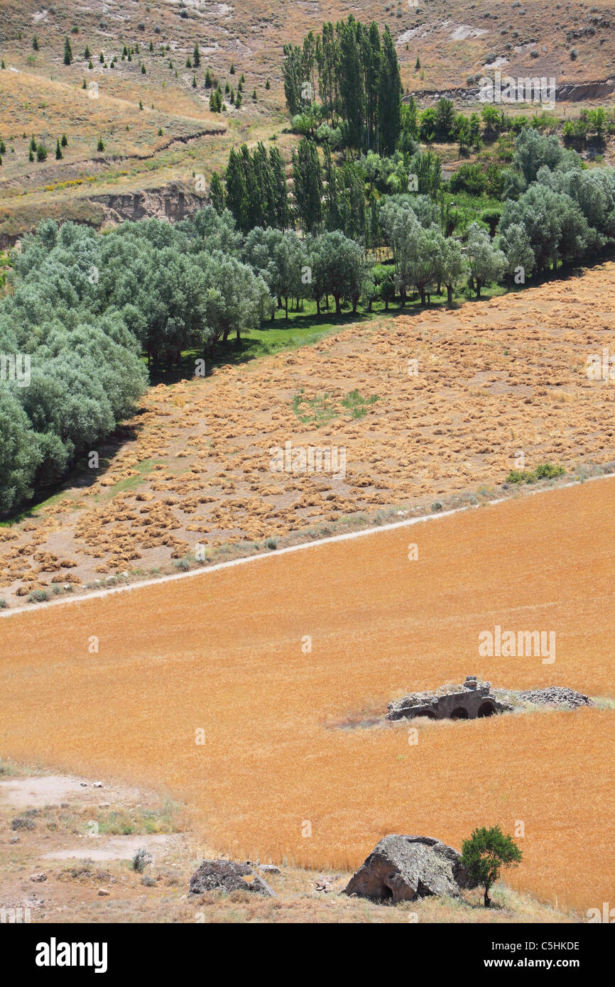 Turkey, Central Anatolia, area south east of Aksaray, Yüksek Kilise ...