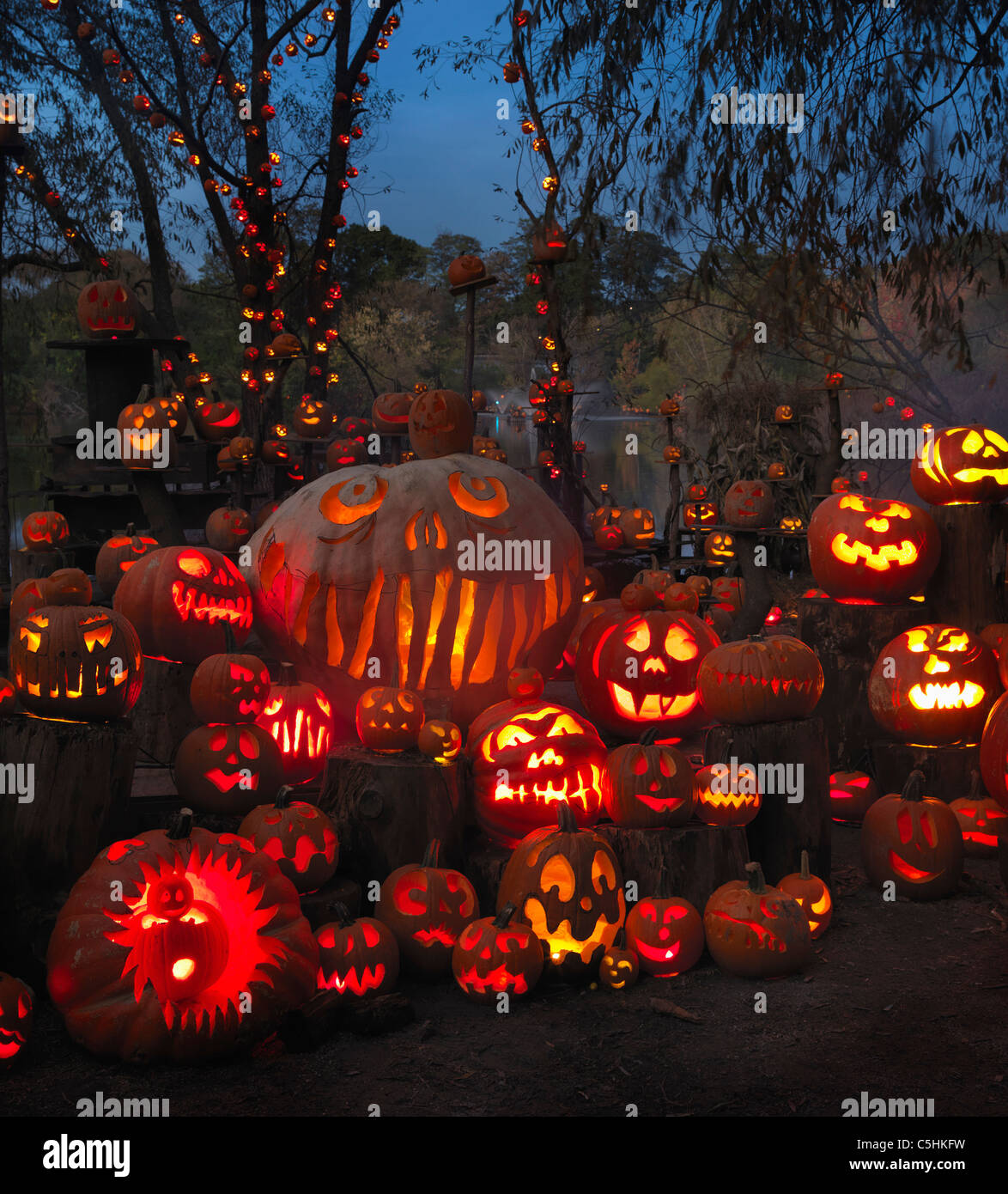 glowing pumkin display at Halloween Stock Photo - Alamy