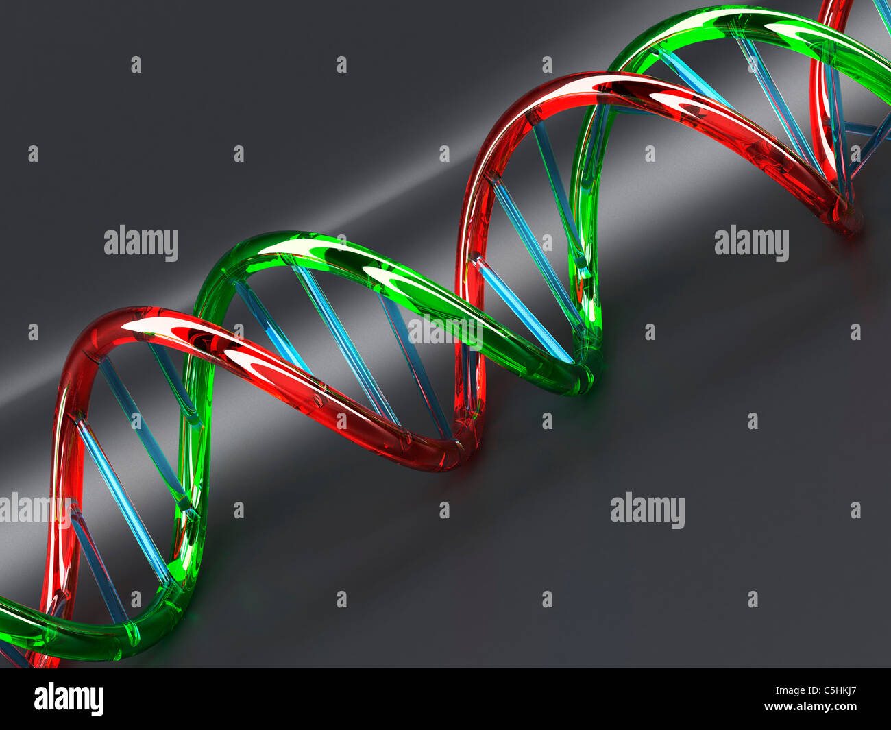 DNA molecule, artwork Stock Photo - Alamy