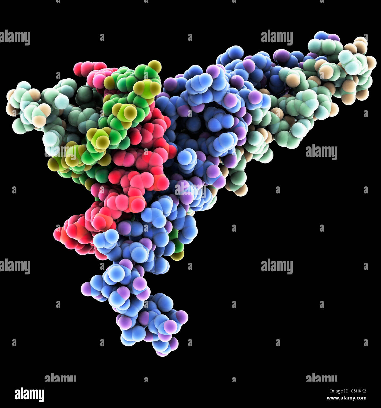 DNA transcription factor, molecular model Stock Photo - Alamy