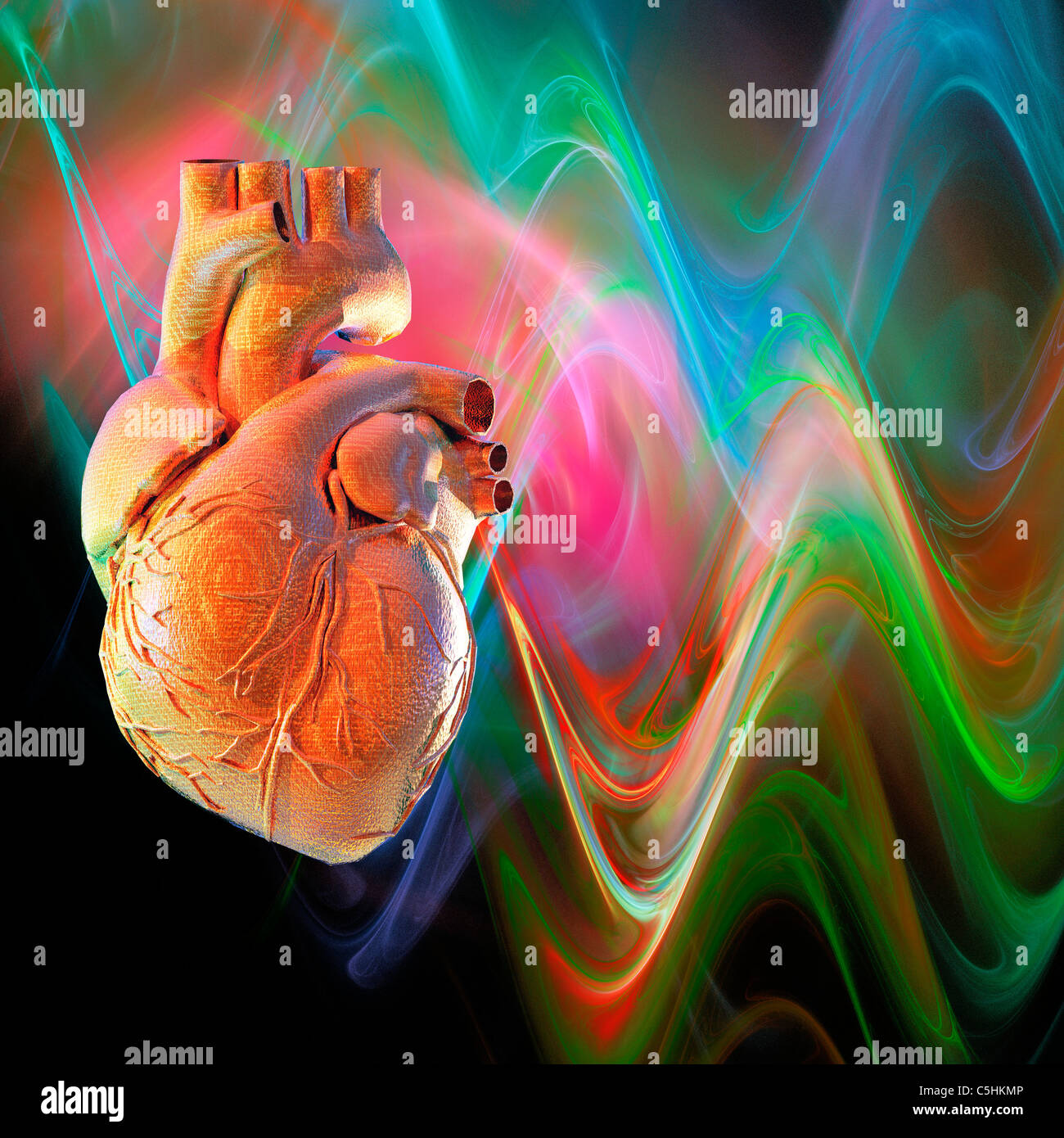 Human heart, artwork Stock Photo - Alamy