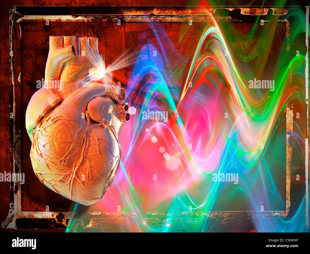 Human heart, artwork Stock Photo - Alamy