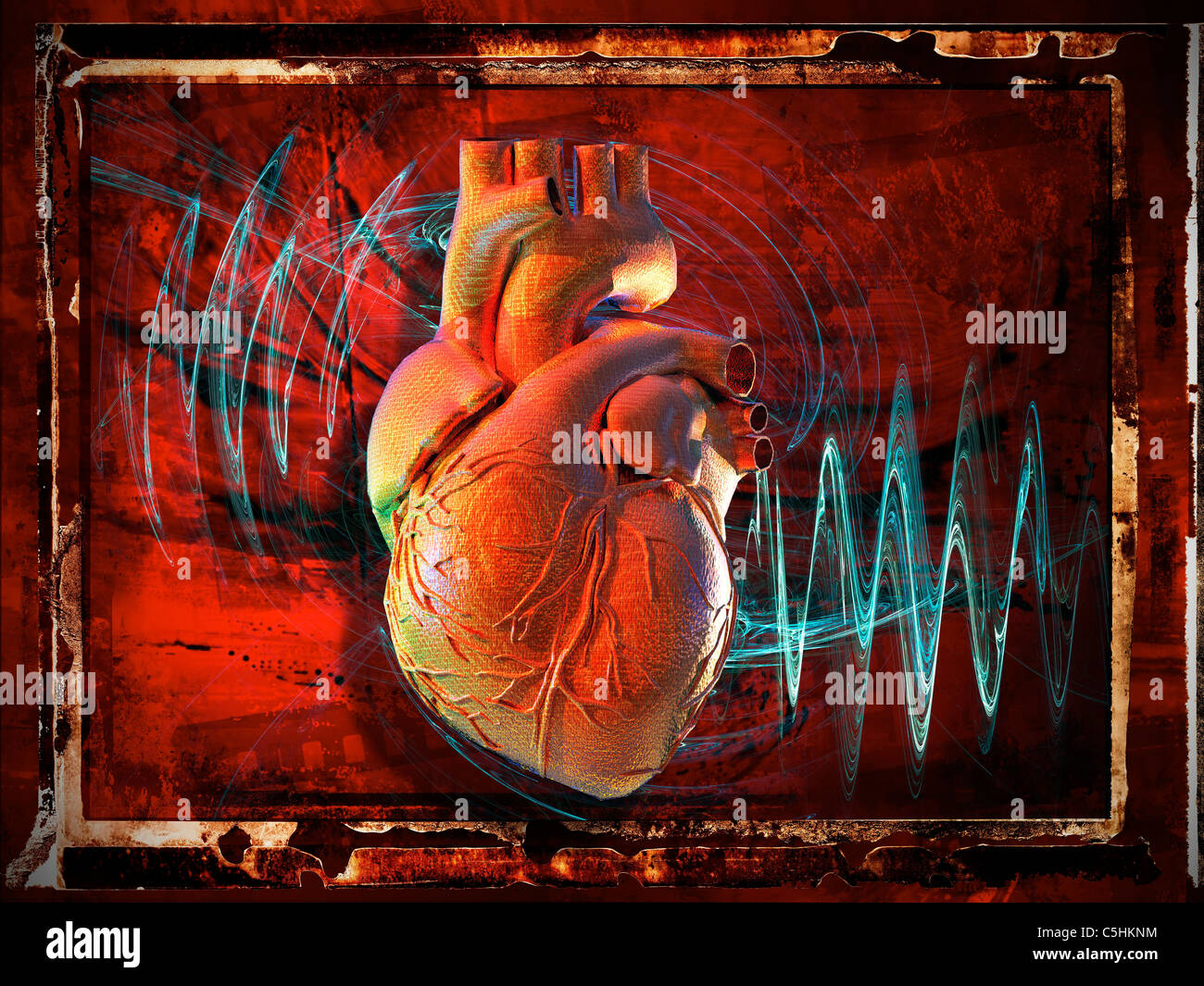 Human heart, artwork Stock Photo - Alamy