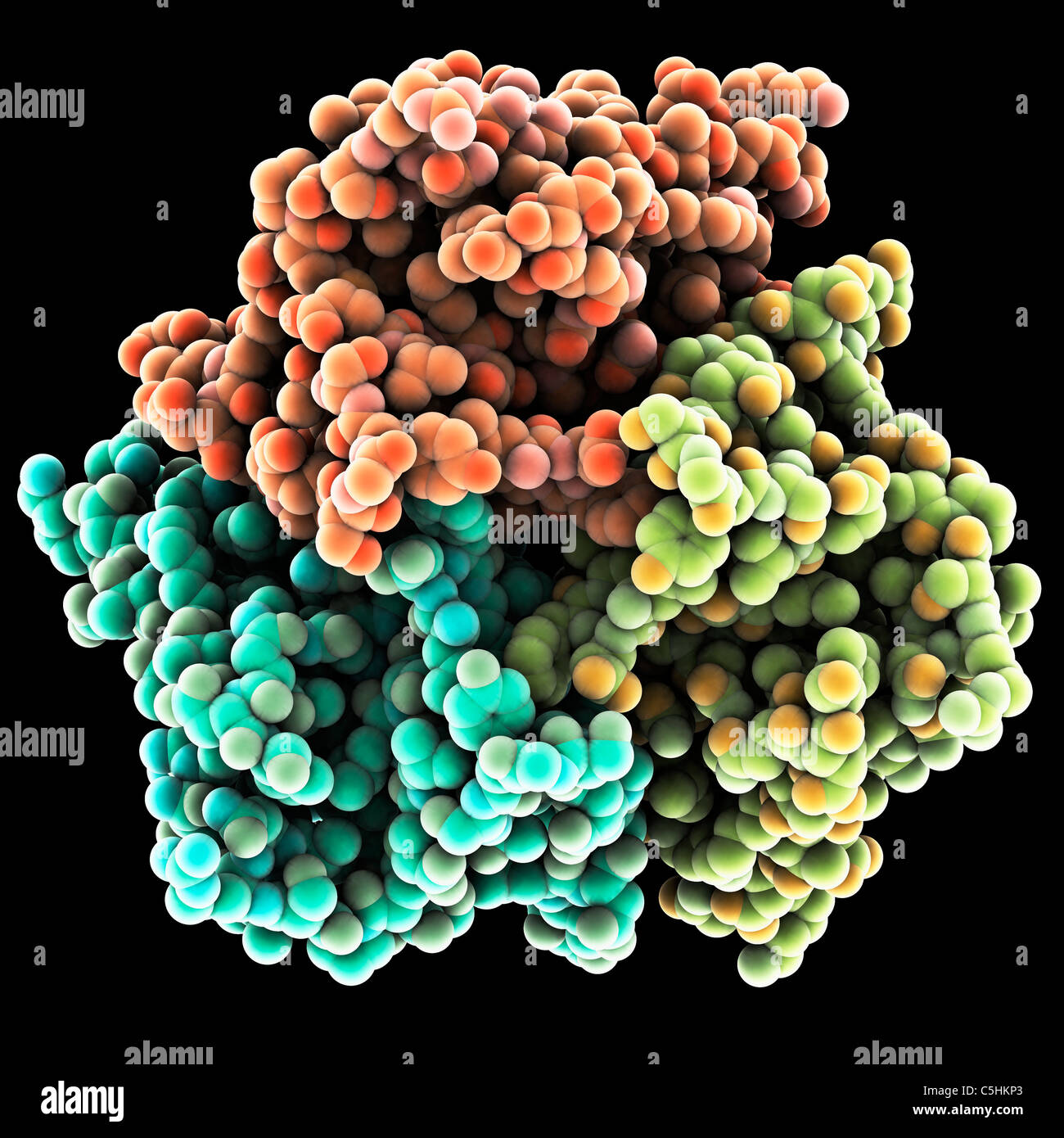 Leptin, molecular model Stock Photo - Alamy