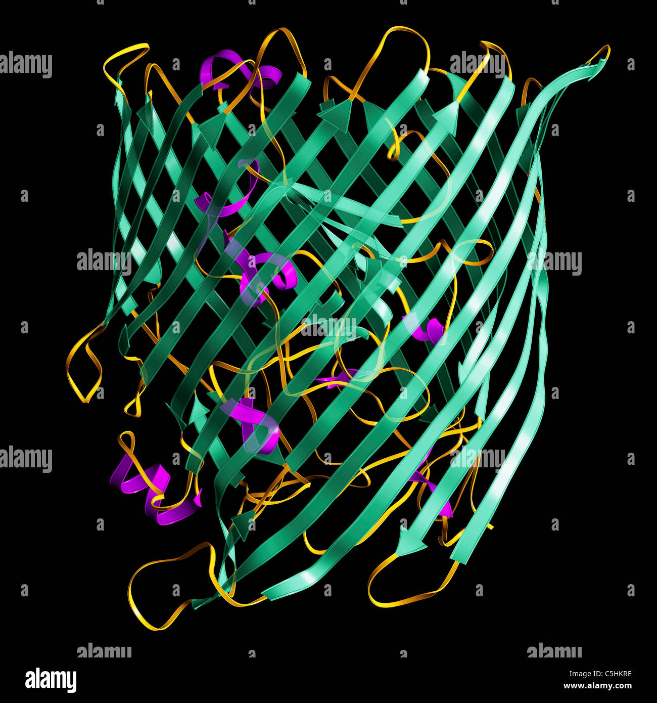 Receptor Protein In Cell Membrane