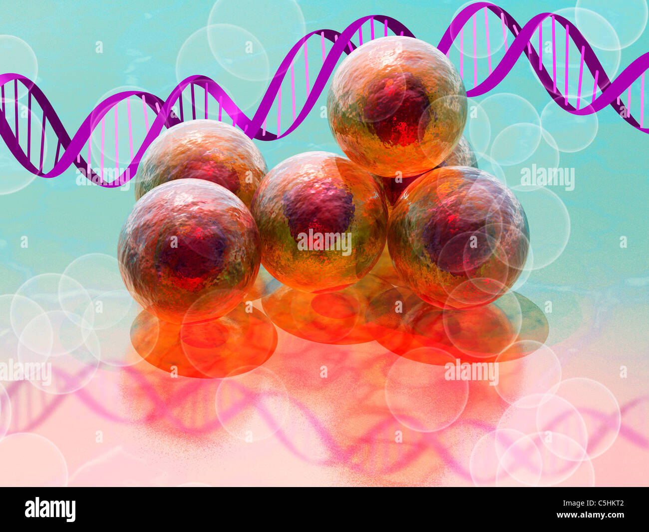 Stem cell research, conceptual artwork Stock Photo - Alamy