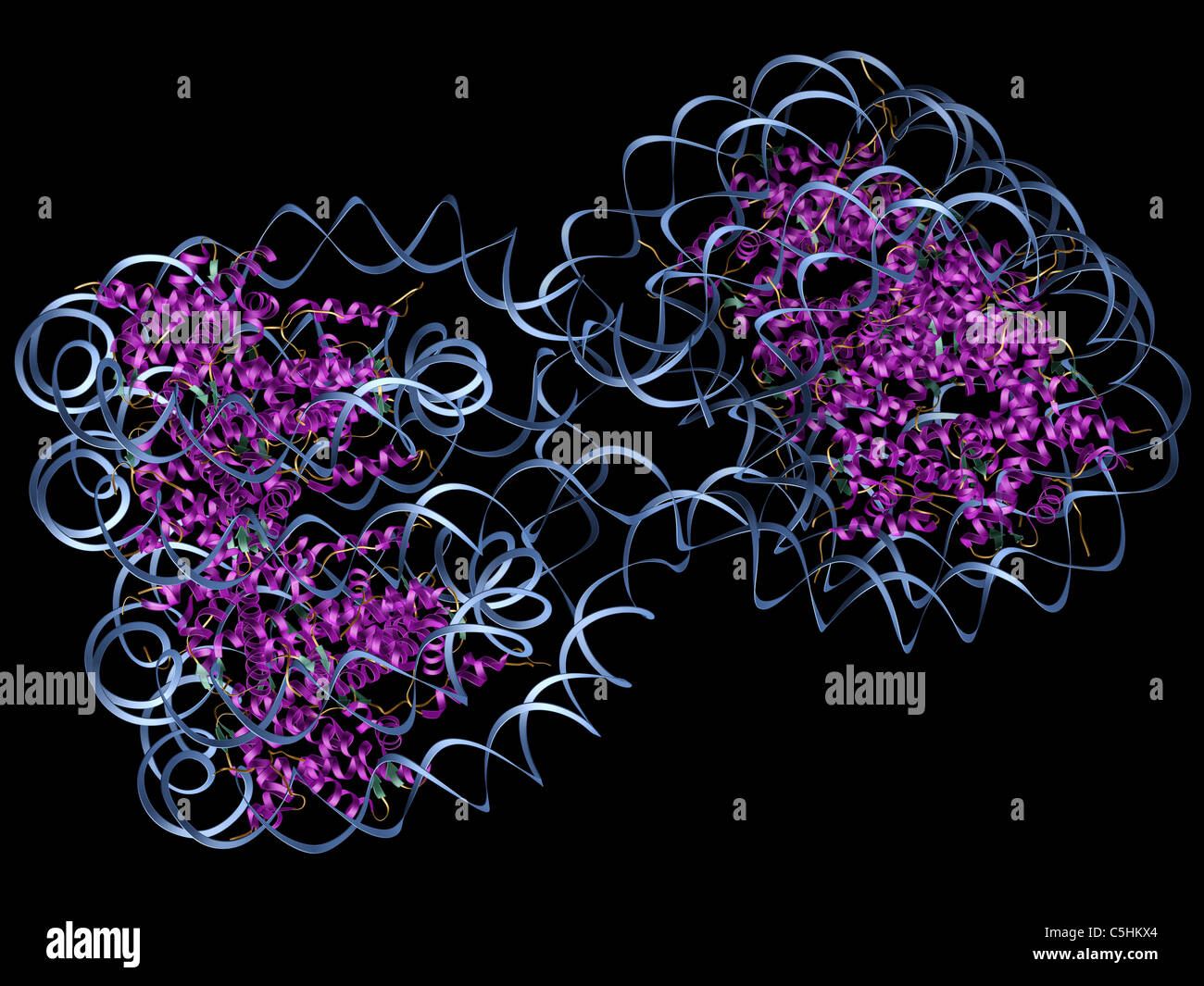 Nucleosome structure hi-res stock photography and images - Alamy