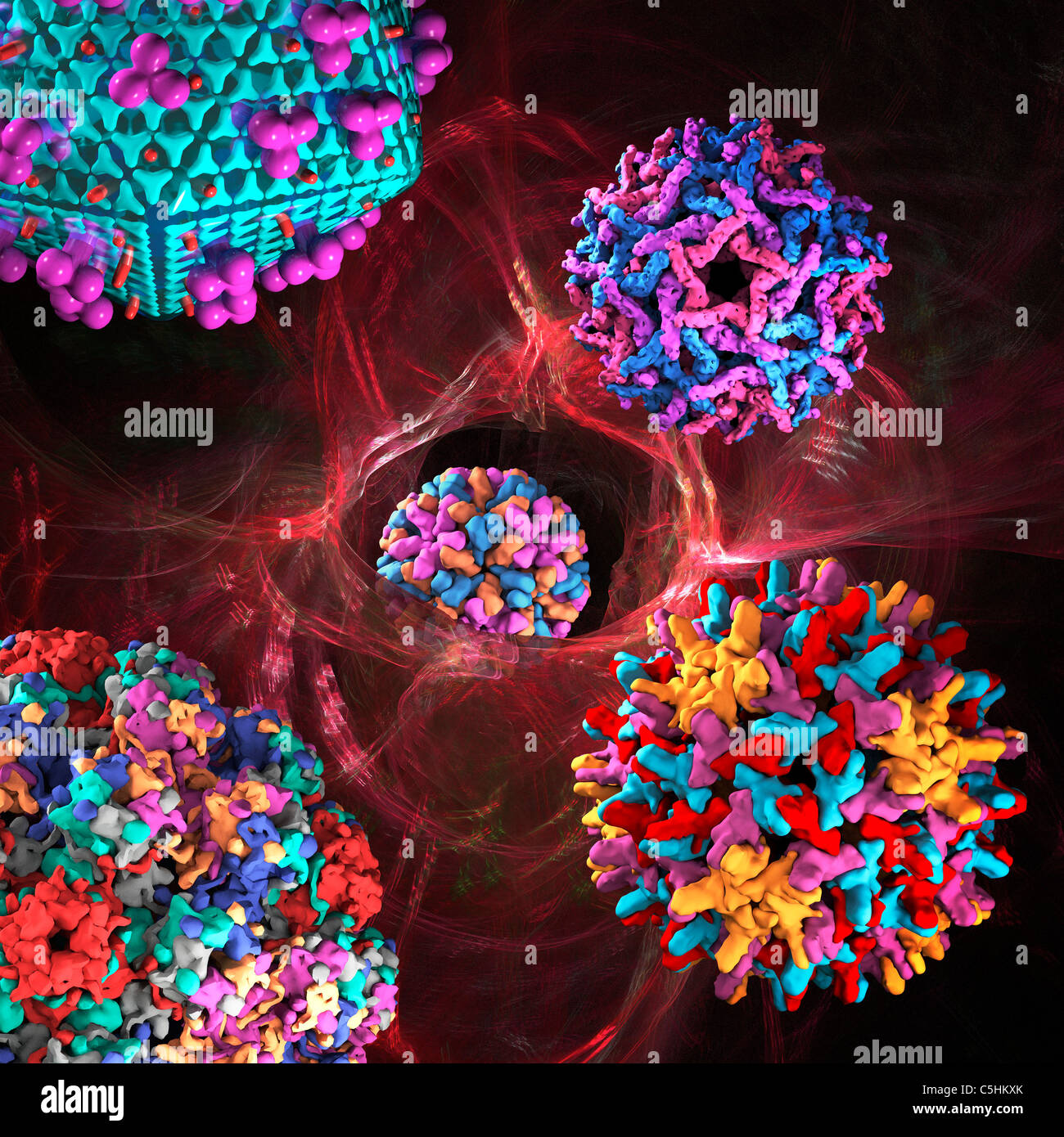 Viral infection, conceptual artwork Stock Photo - Alamy