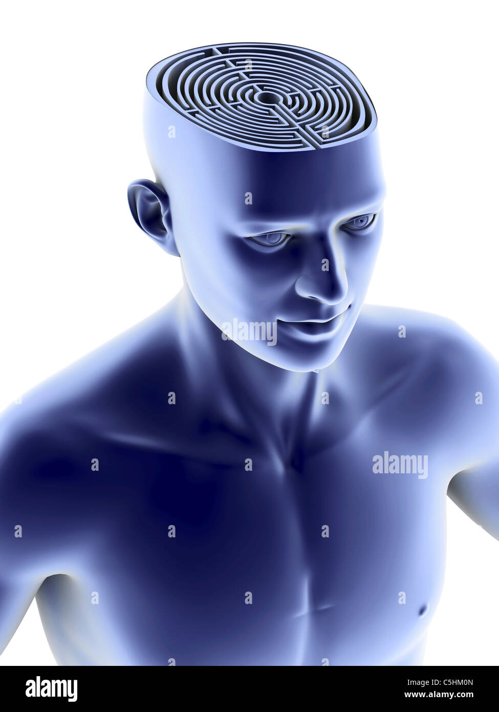 Neural maze hi-res stock photography and images - Alamy