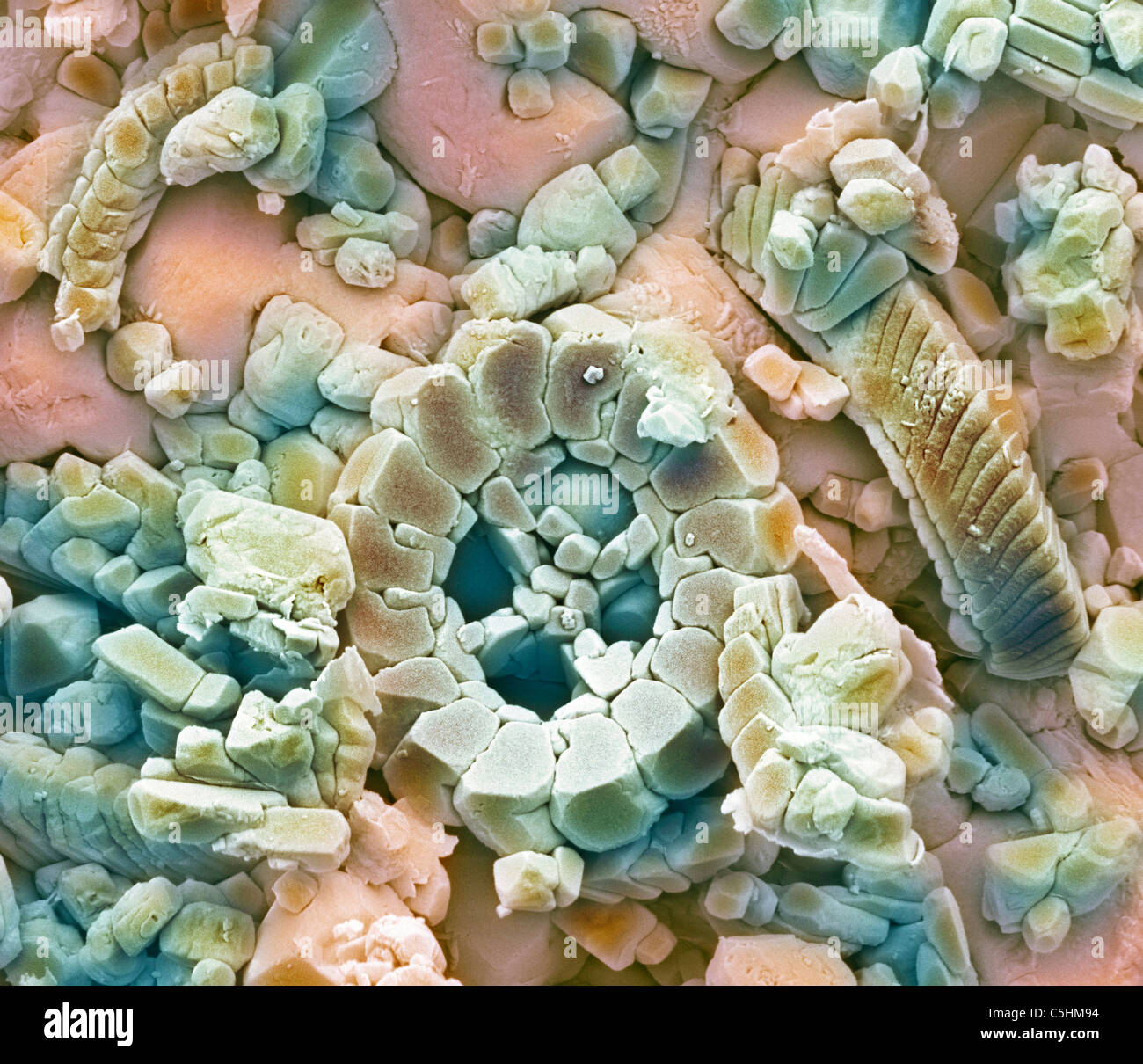 Microbes fossils hi-res stock photography and images - Alamy