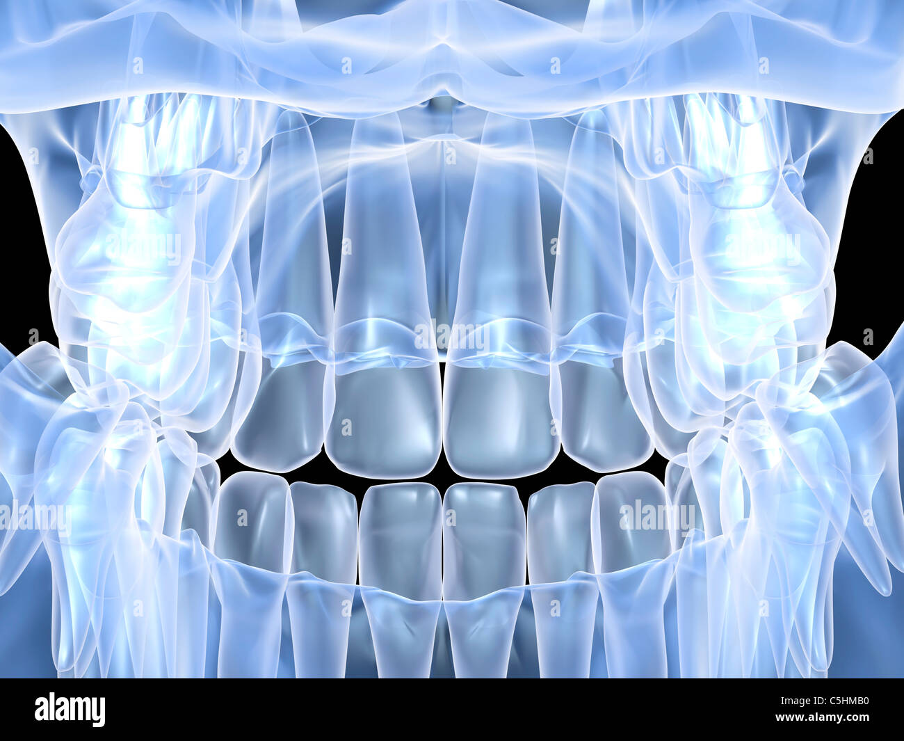 Human skull with teeth, computer artwork Stock Photo - Alamy