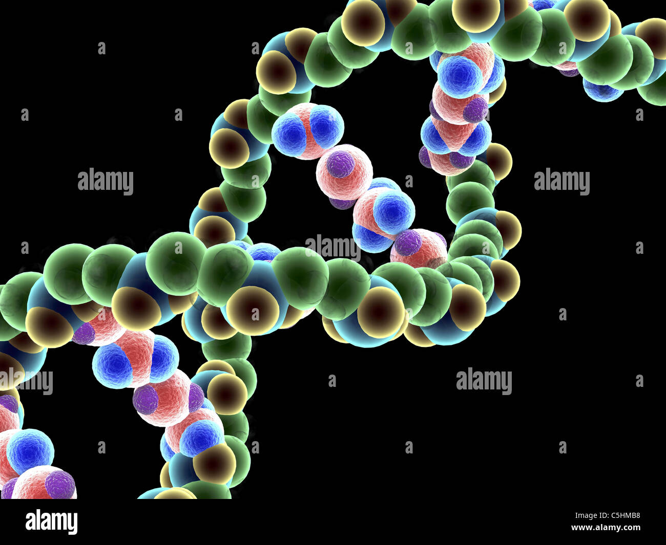 DNA molecule, computer artwork Stock Photo - Alamy