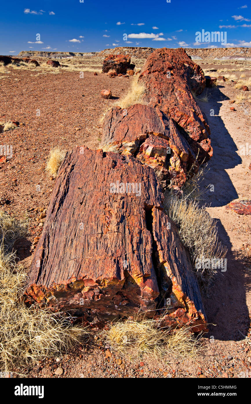 Petrified Forest National Park, Arizona, USA Stock Photo - Alamy