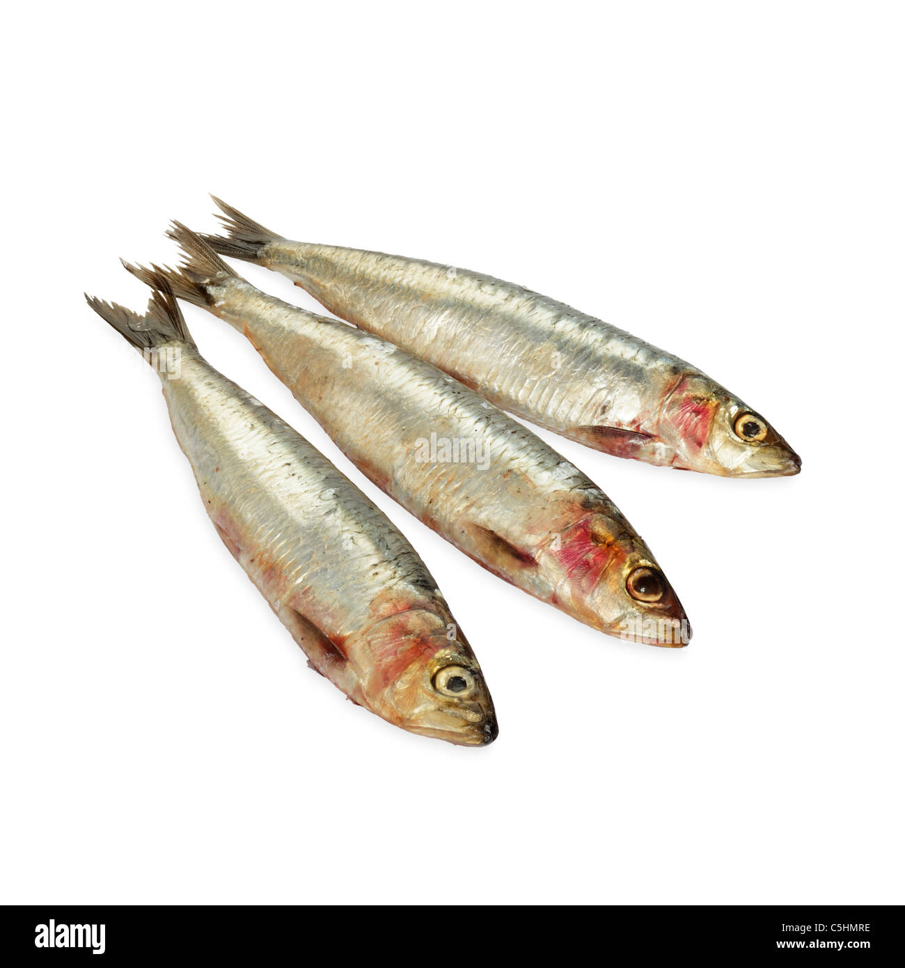 Sardine fishers hi-res stock photography and images - Alamy