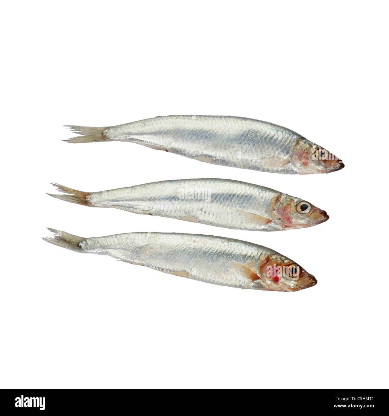 Fresh sprats fish Cut Out Stock Images & Pictures - Alamy