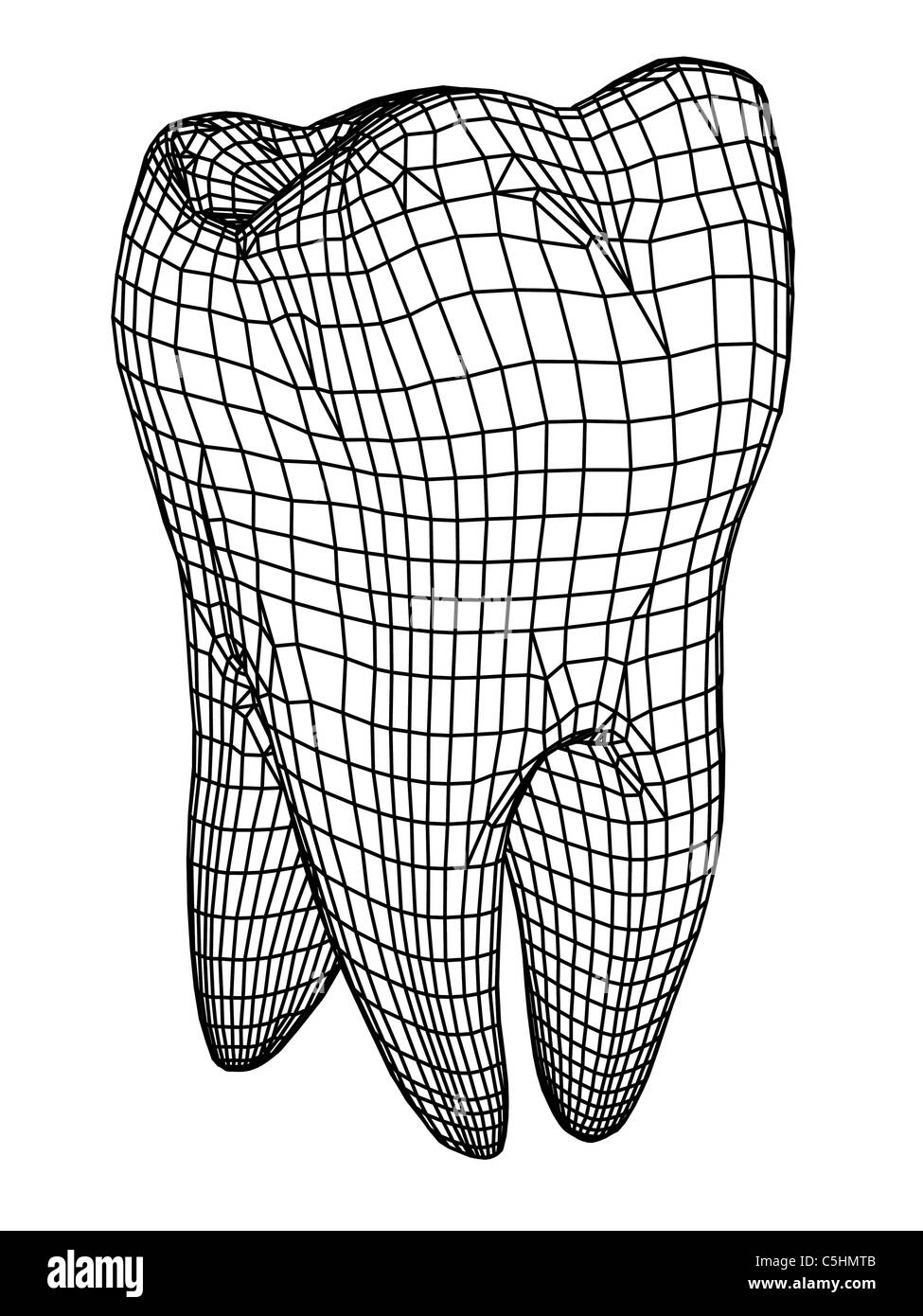 Molar Black and White Stock Photos & Images - Alamy