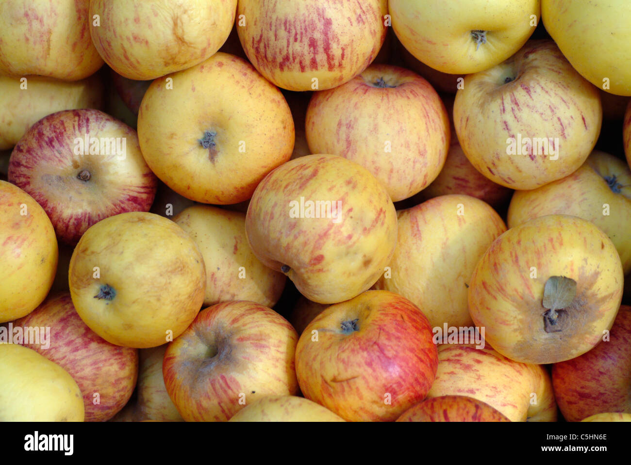 Box of Fuji apples in Sonoma County California Stock Photo - Alamy