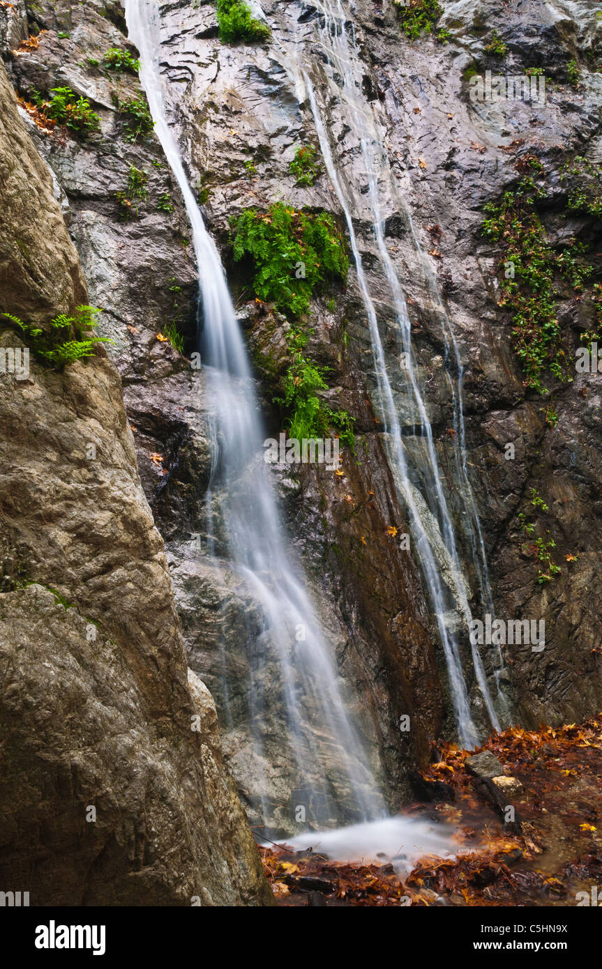 Pfeiffer Falls, Pfeiffer Big Sur State Park, Big Sur, California Stock ...