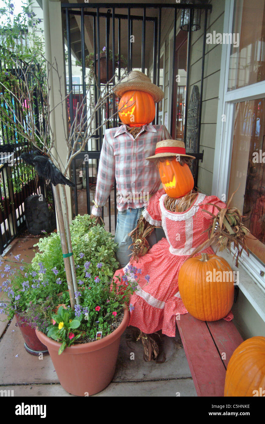 Scarecrow display outside a business in Occidental, California's ...