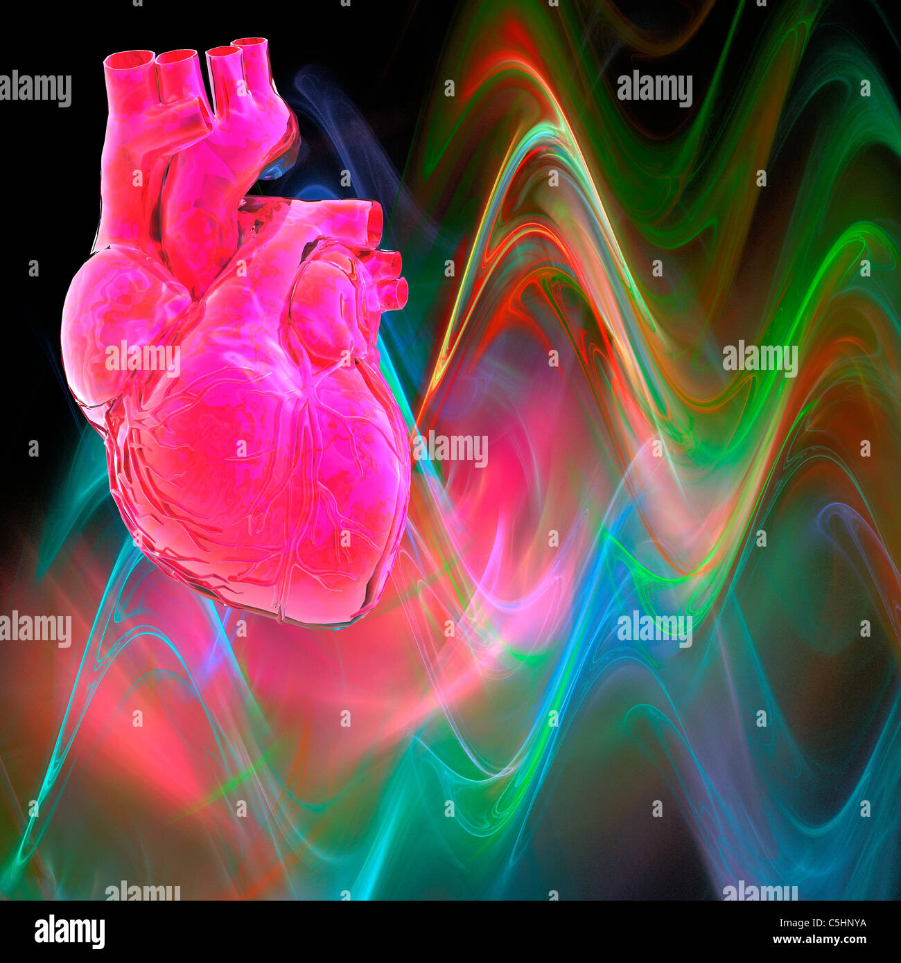 Human heart, artwork Stock Photo - Alamy