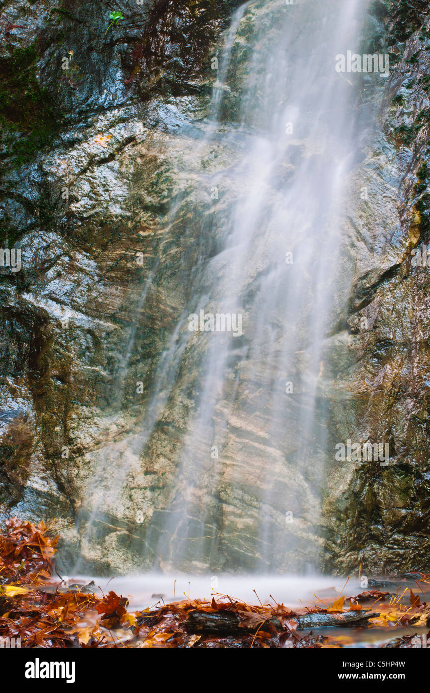 Pfeiffer Falls, Pfeiffer Big Sur State Park, Big Sur, California Stock ...