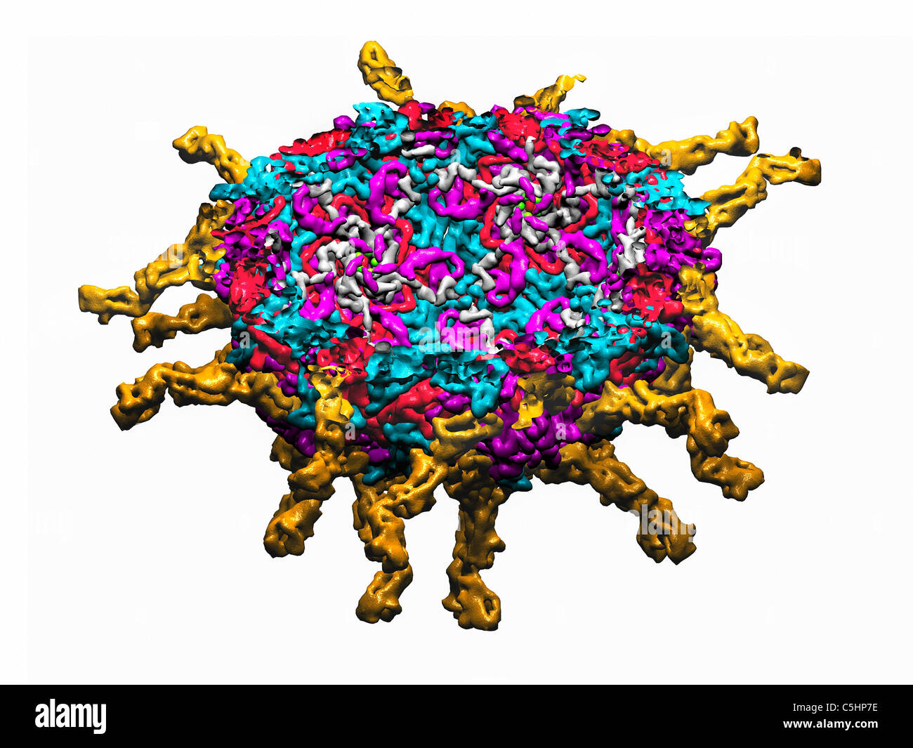 Poliovirus particle, molecular model Stock Photo - Alamy