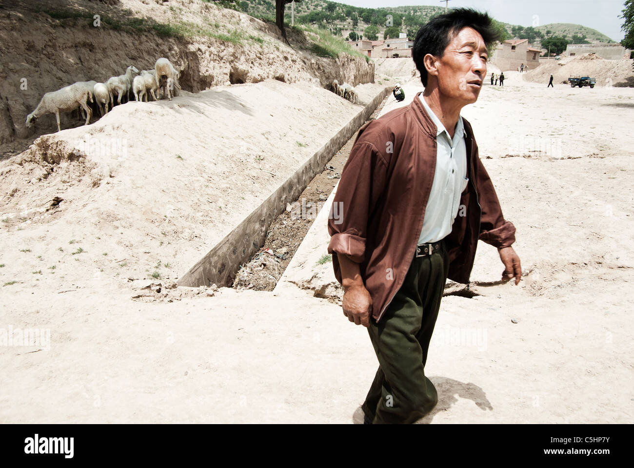 Selling sheep hi-res stock photography and images - Alamy