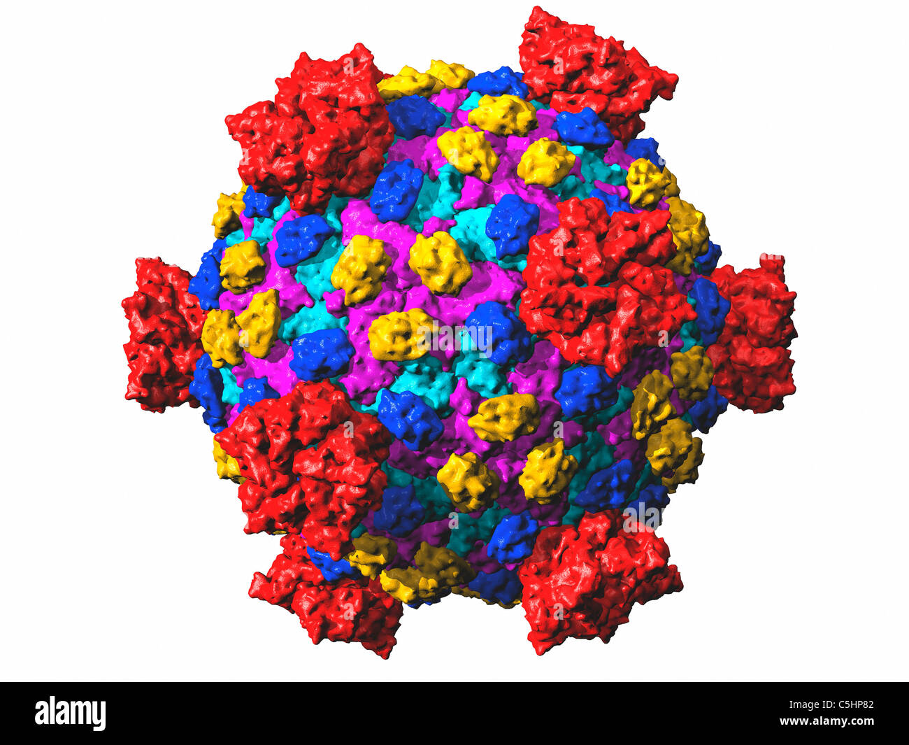Reoviridae hi-res stock photography and images - Alamy