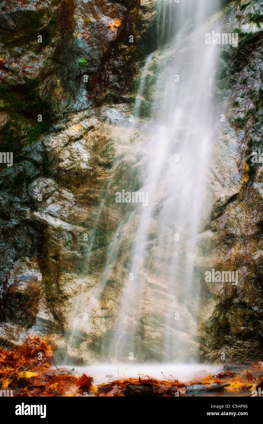 Pfeiffer Falls, Pfeiffer Big Sur State Park, Big Sur, California Stock ...