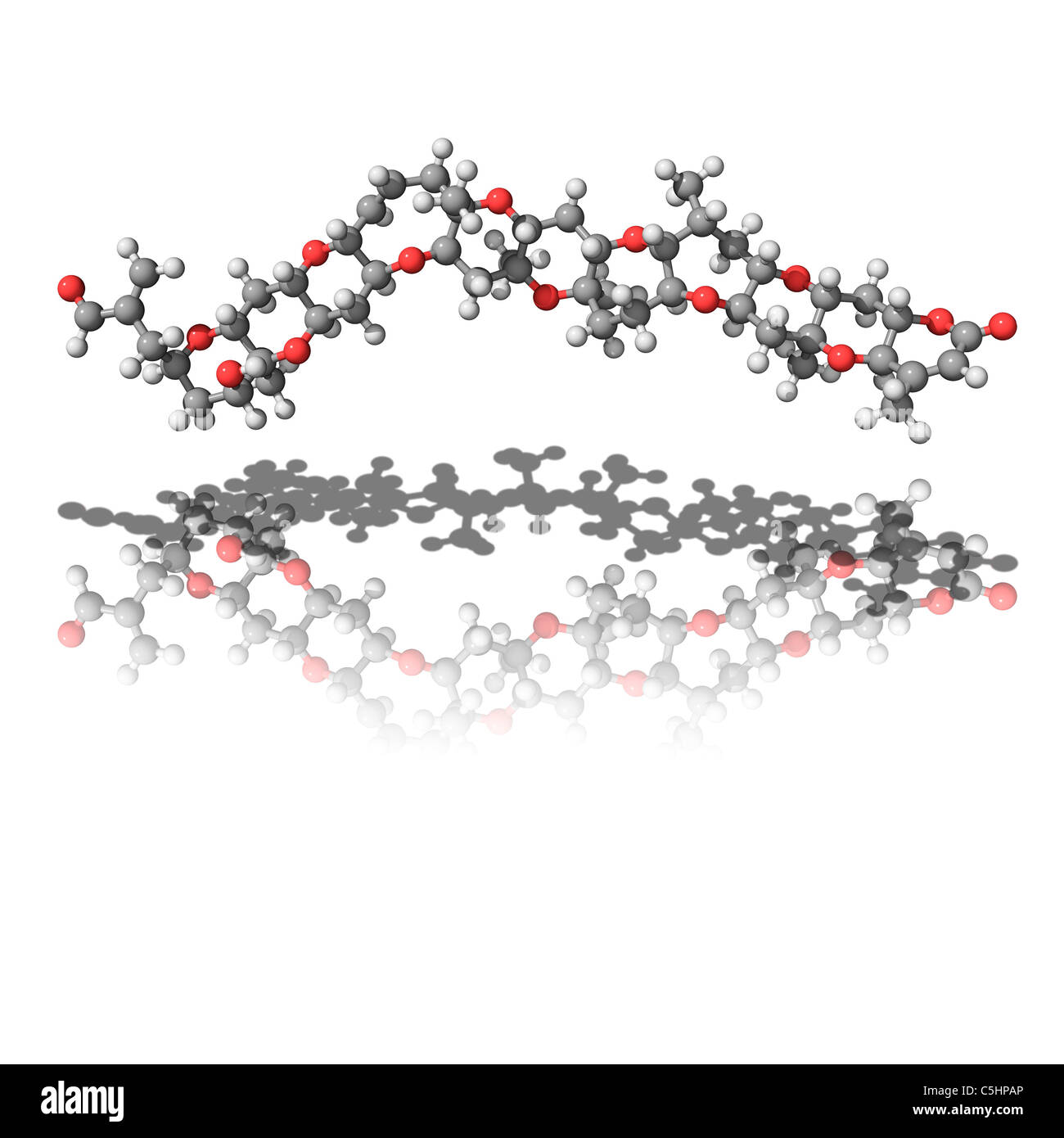 Brevetoxin hi-res stock photography and images - Alamy