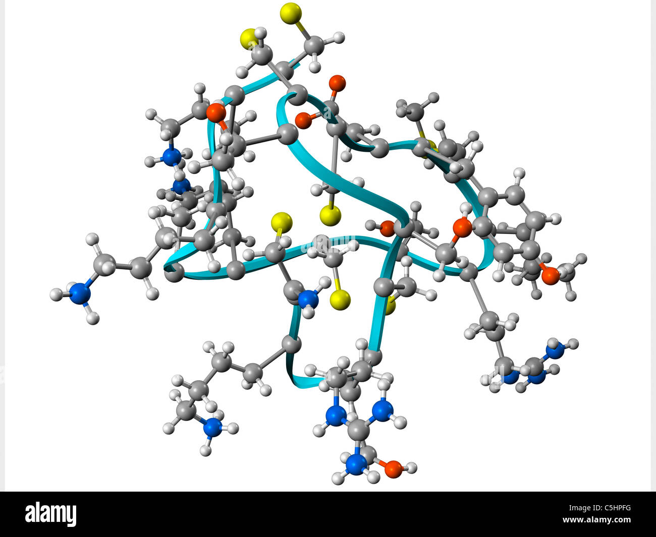 Cone snail venom component molecule Stock Photo - Alamy