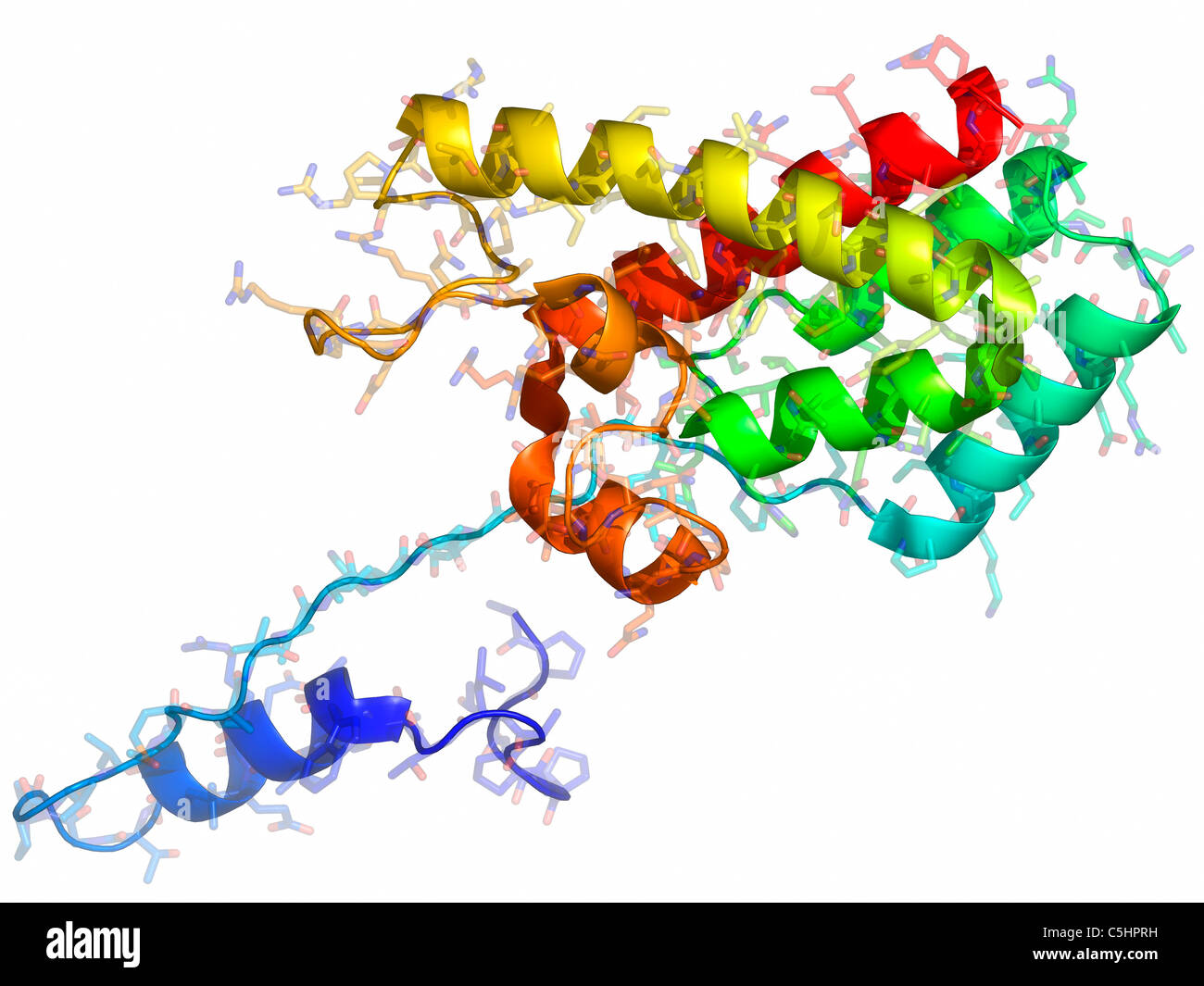 Rous sarcoma virus cells hi-res stock photography and images - Alamy