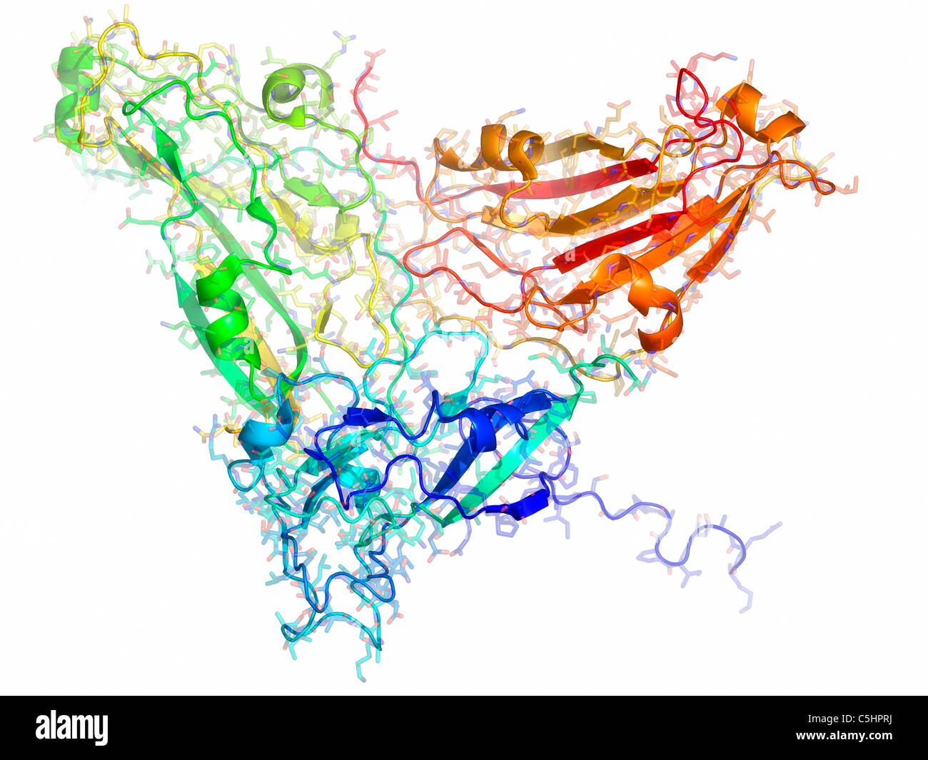 Physalis mottle virus capsid protein Stock Photo - Alamy