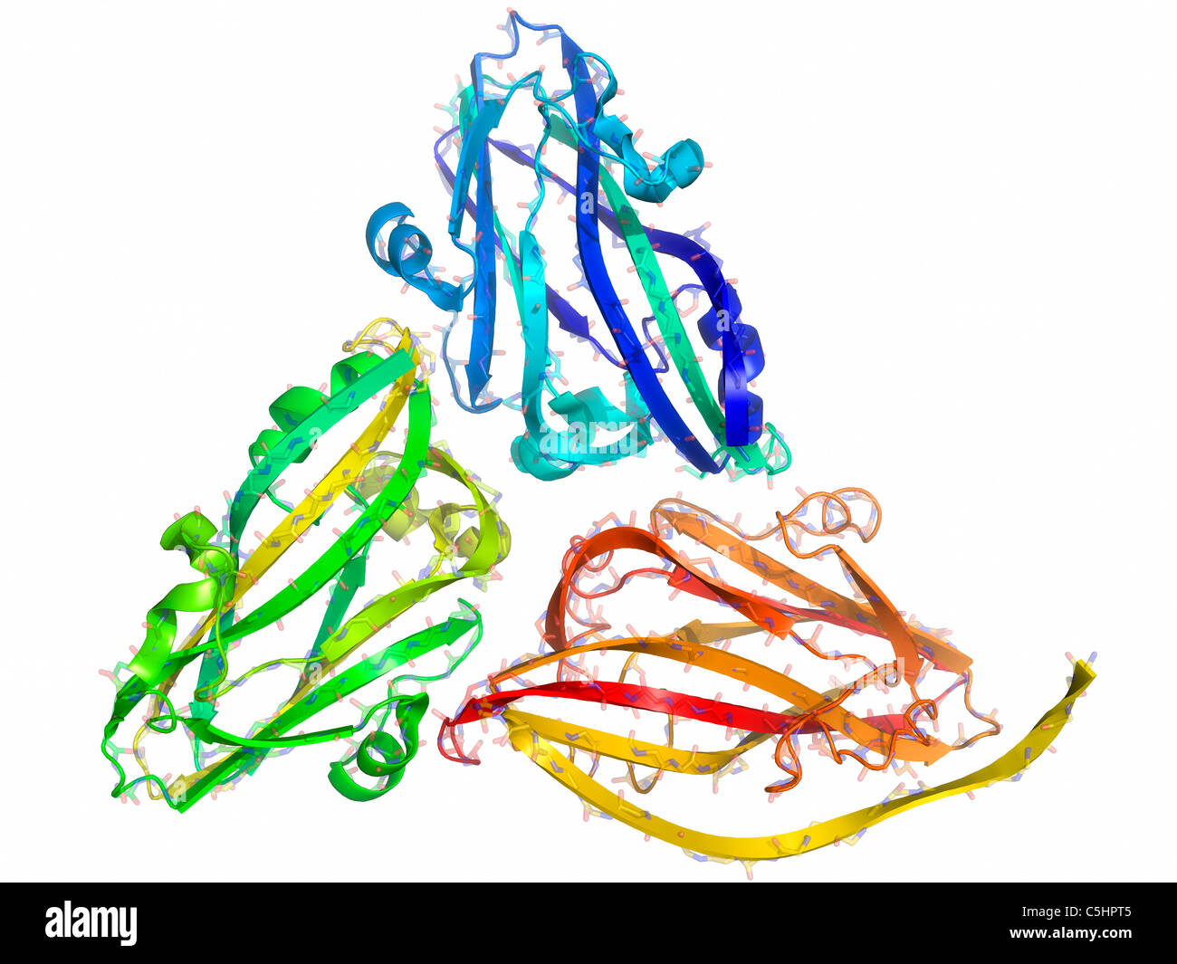 Tobacco necrosis virus capsid proteins Stock Photo - Alamy