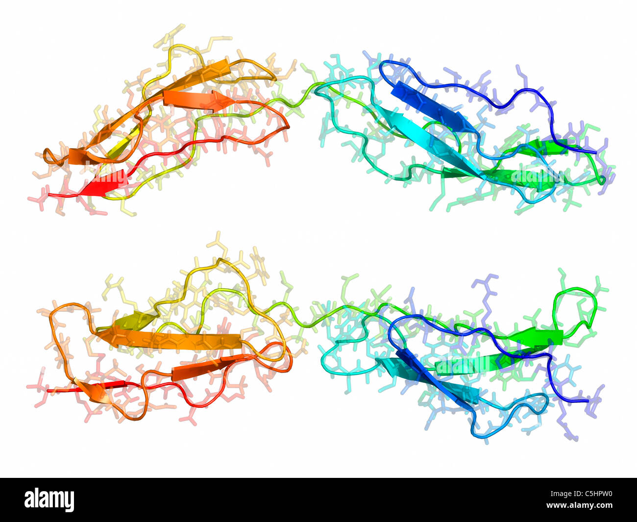 Vaccinia virus complement control protein Stock Photo - Alamy
