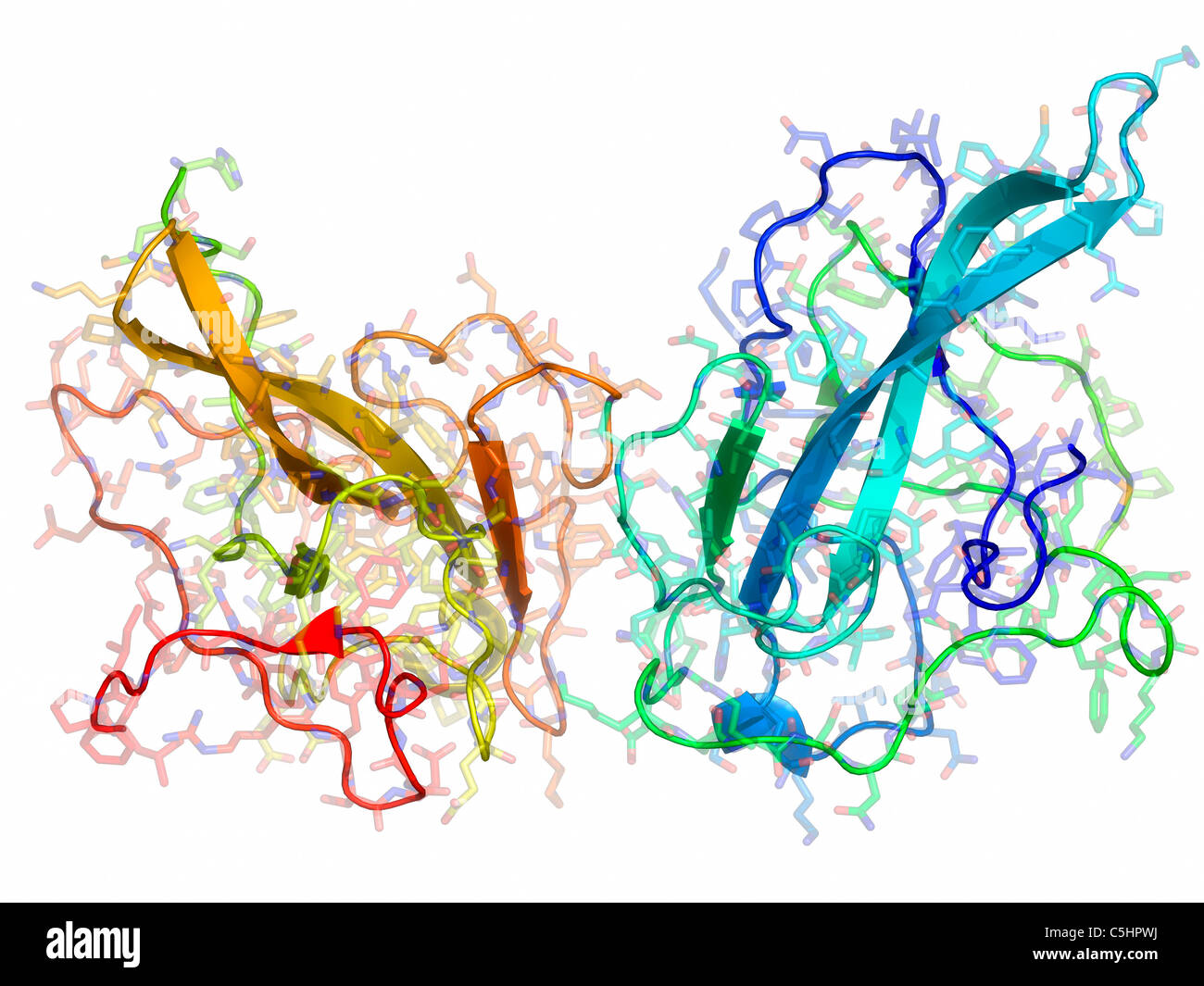 Nucleocapsid Stock Photos & Nucleocapsid Stock Images - Alamy