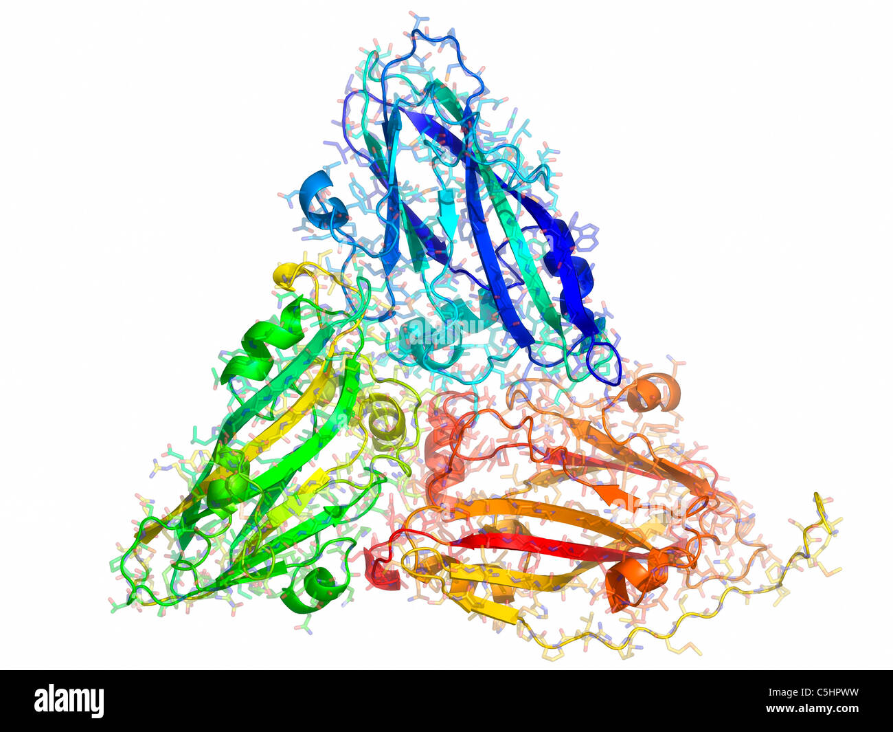 Southern bean mosaic virus capsid protein Stock Photo - Alamy