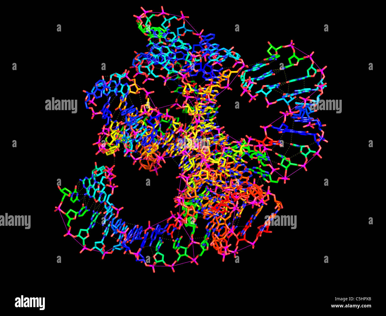 Hammerhead ribozyme molecule Stock Photo - Alamy
