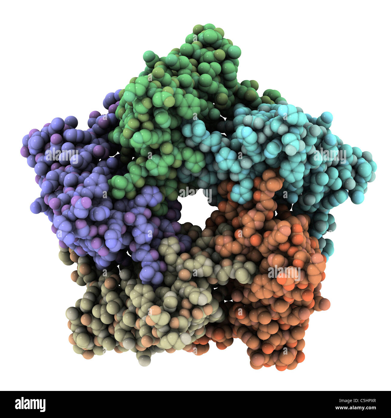 Lumazine synthase, molecular model Stock Photo - Alamy