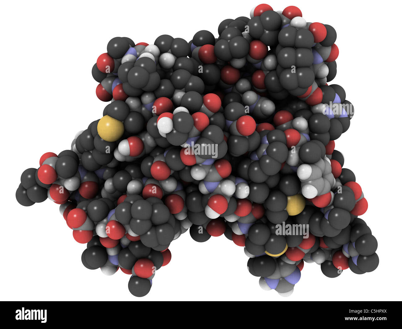 Prion protein hi-res stock photography and images - Alamy