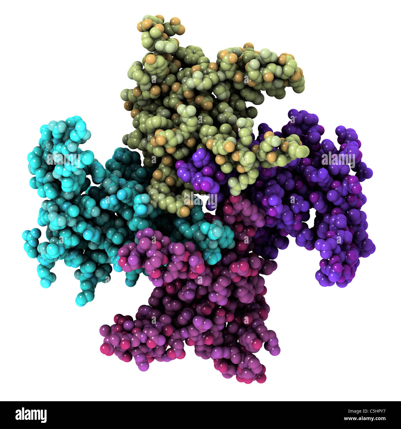 Rna binding proteins hi-res stock photography and images - Alamy