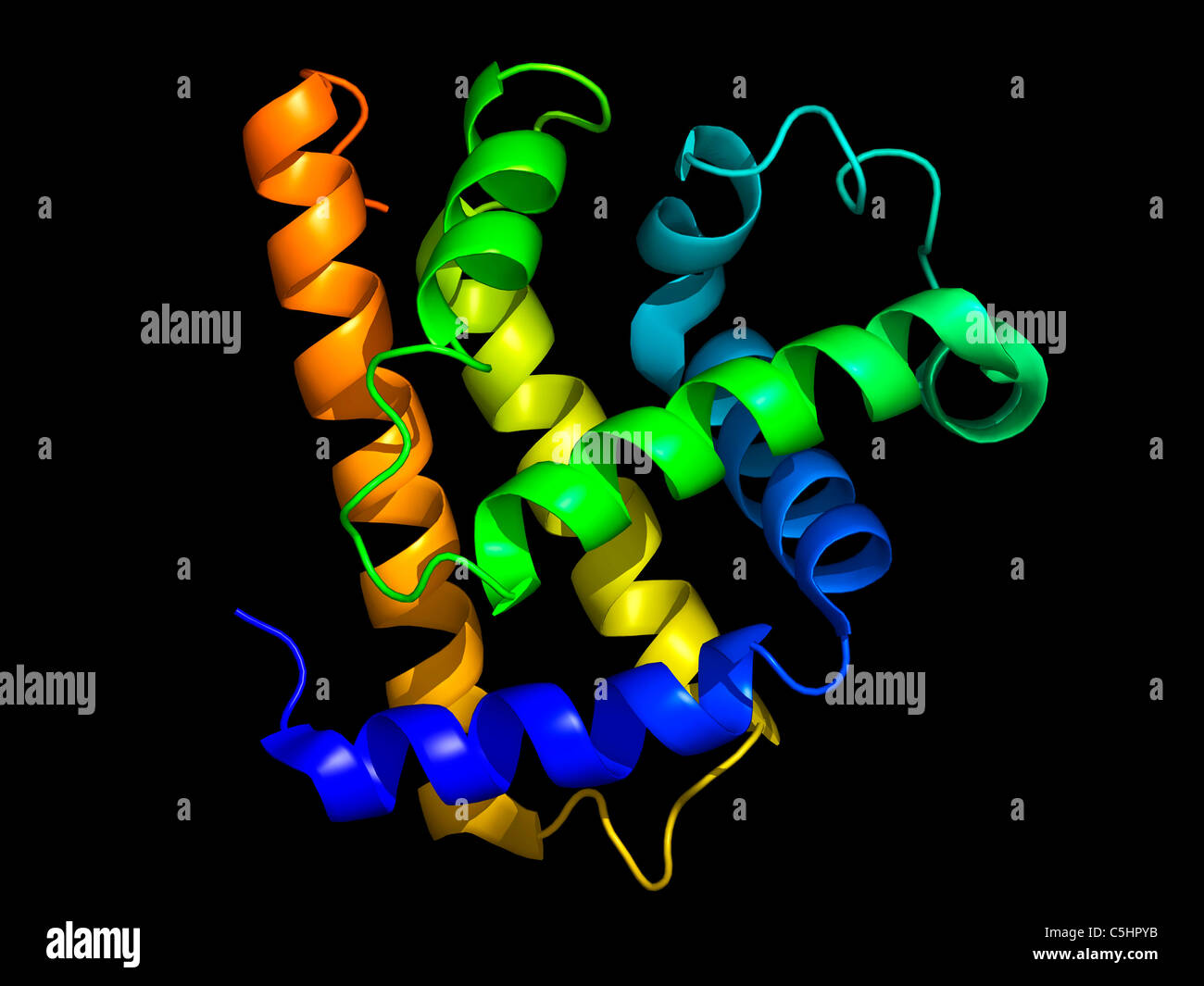 Myoglobin hi-res stock photography and images - Alamy