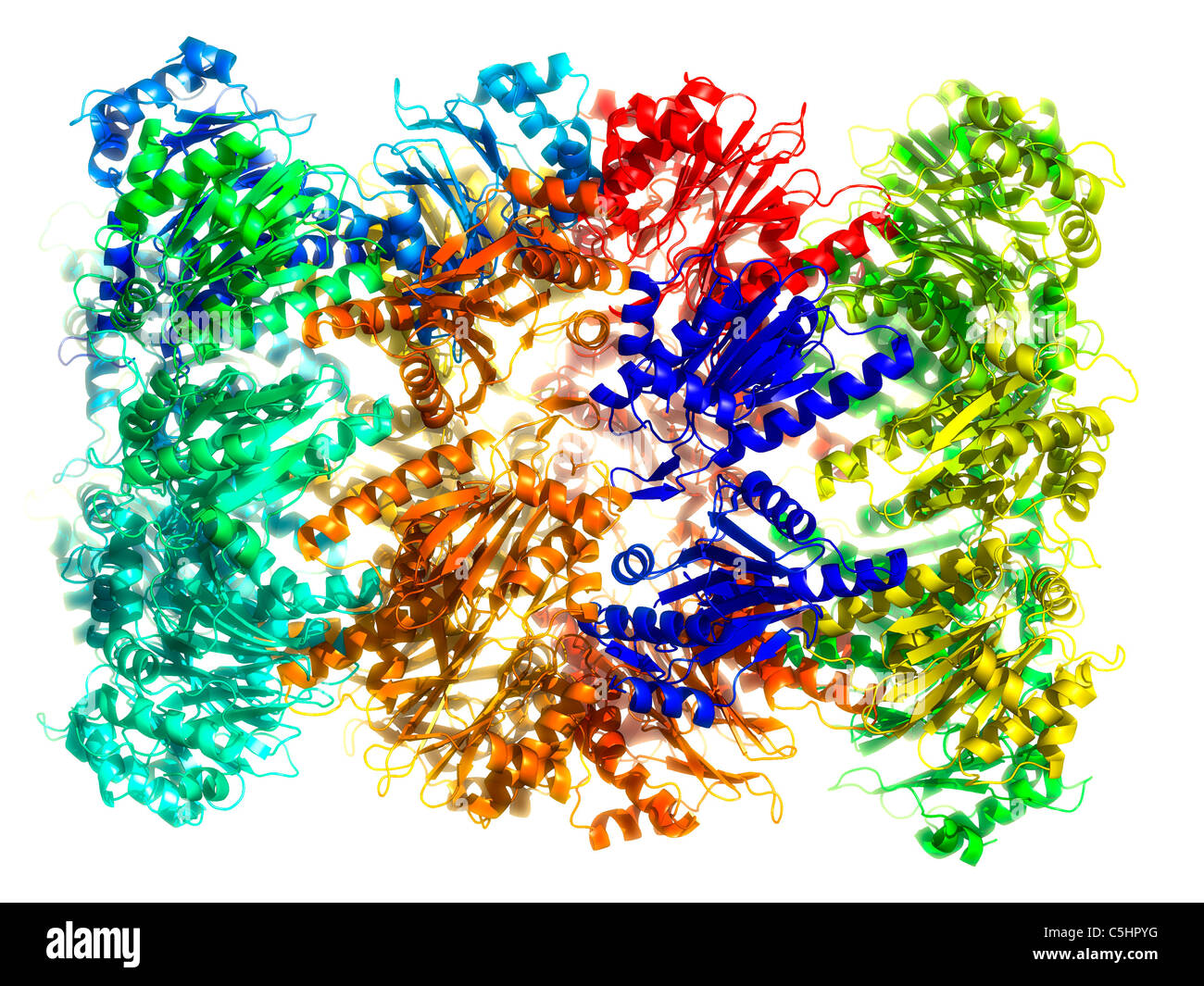 Proteasome, molecular model Stock Photo - Alamy