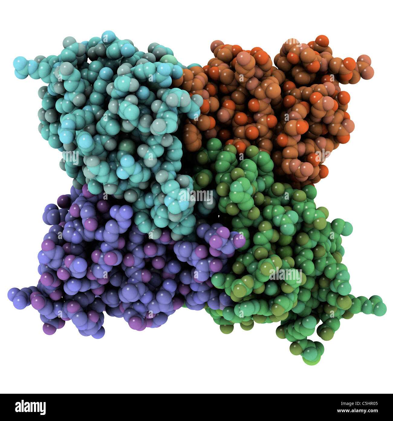 RNA-editing enzyme, molecular model Stock Photo - Alamy