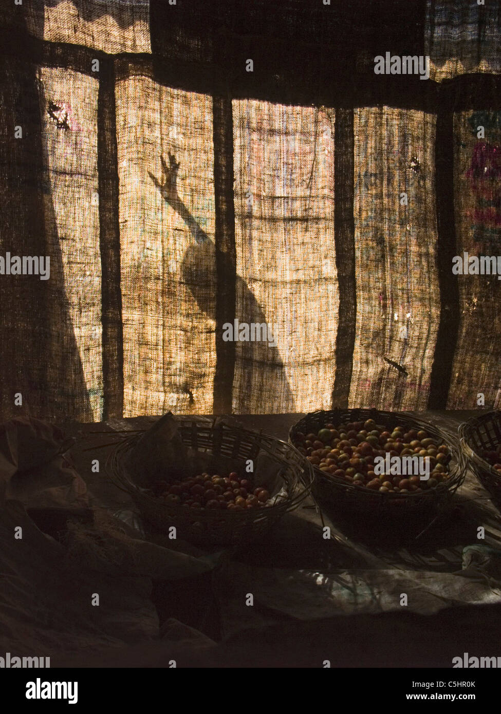 Shadow of vendor in vegetable market in Ooty Tamil Nadu state India ...