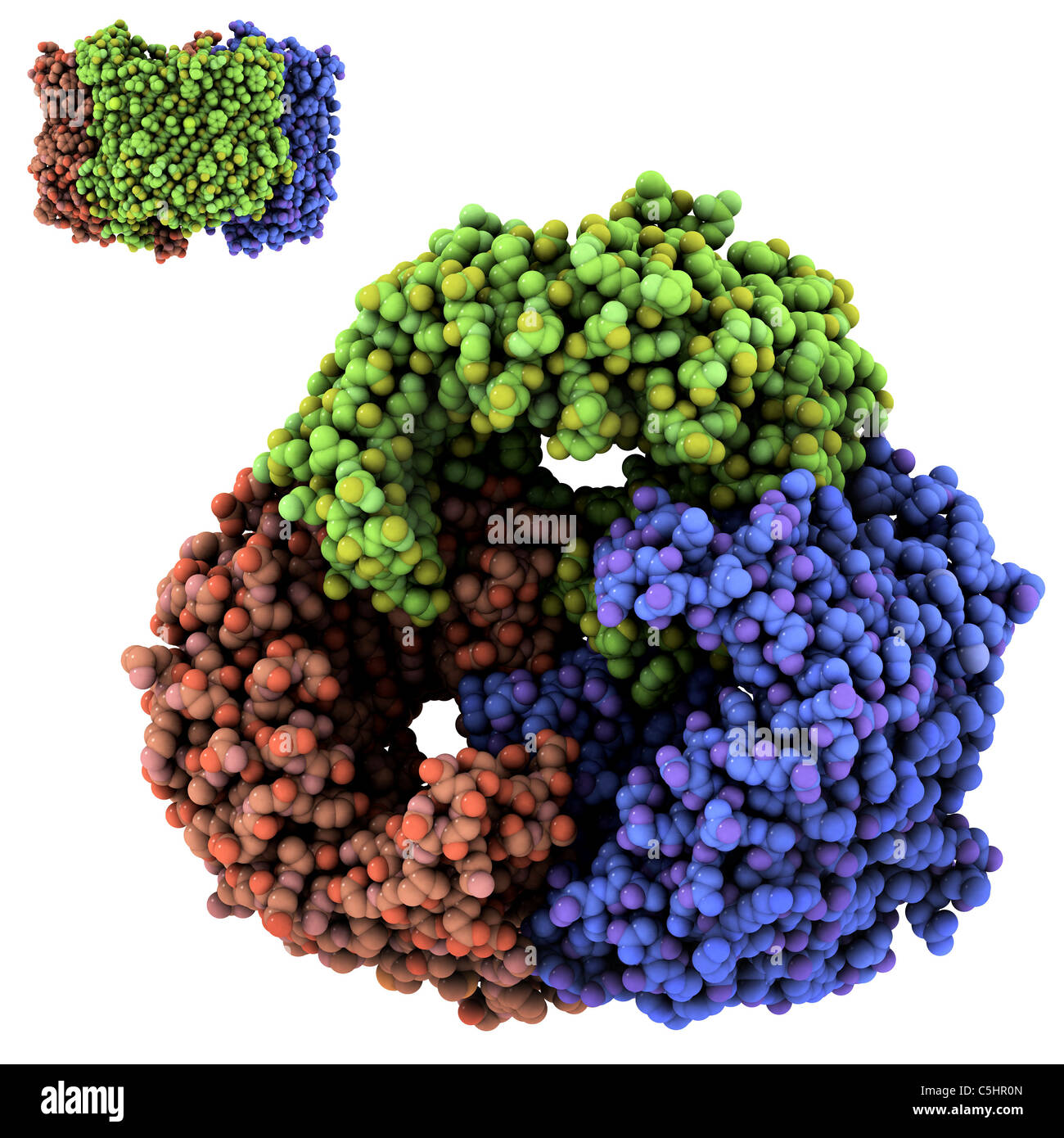 Sucrose-specific porin molecule Stock Photo - Alamy